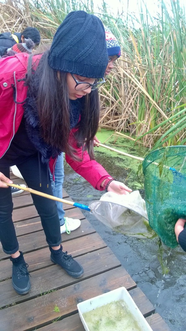 September News - SAILI